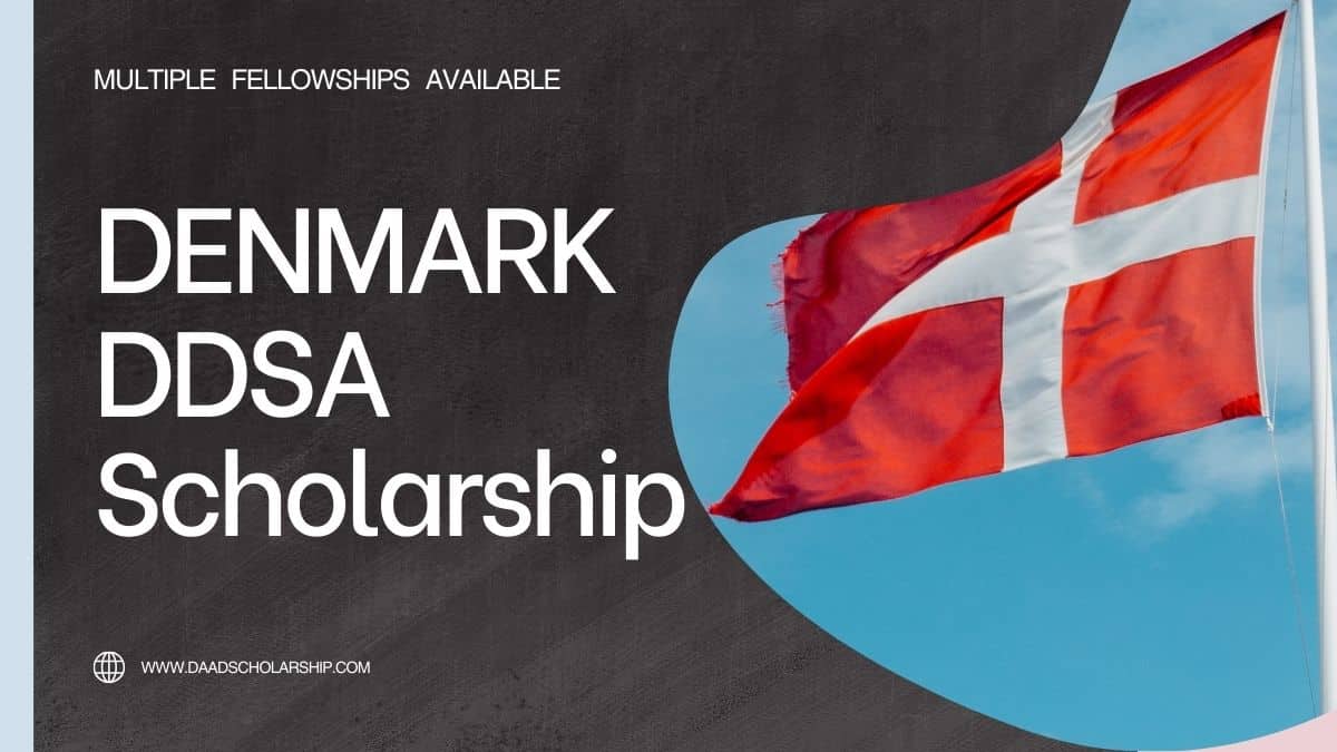 Denmark DDSA Visit Grant Scholarships 2024 Available - DAAD Fully ...