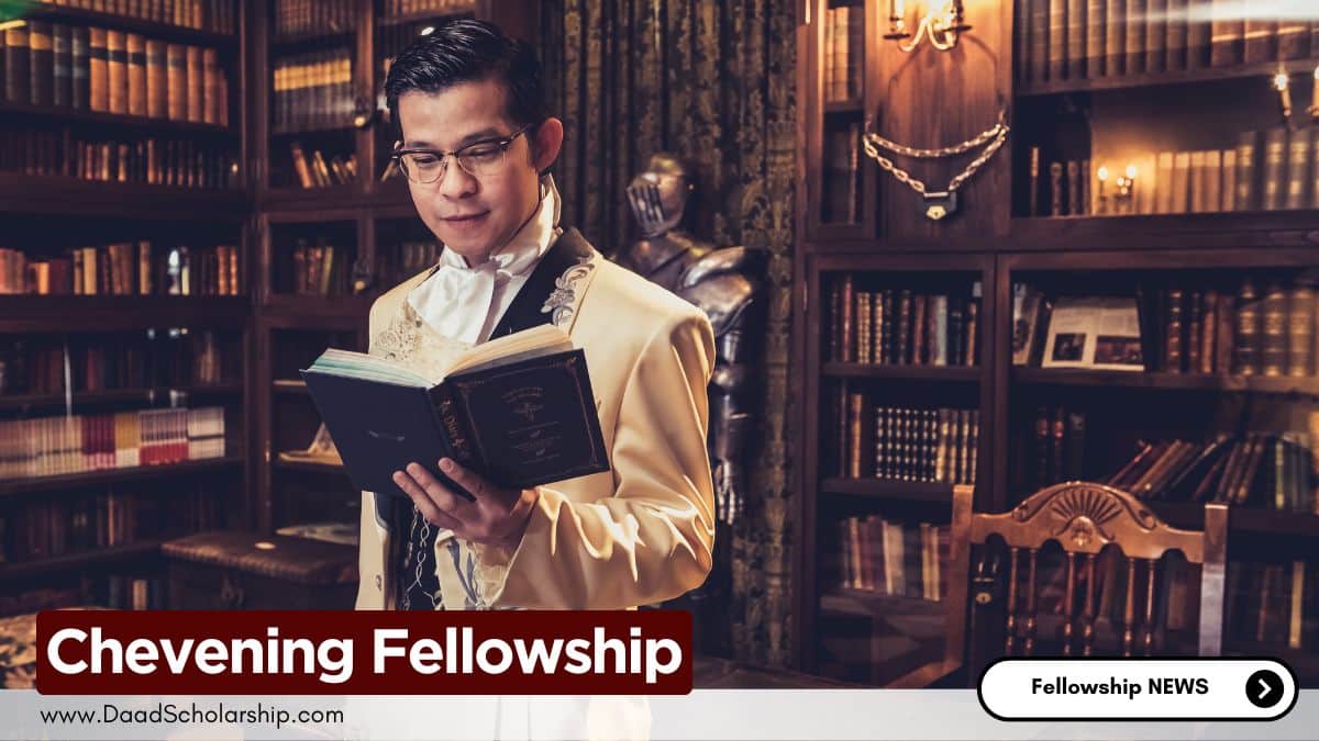 Chevening Energy Market Reform Fellowship 2025 Available - DAAD Fully ...