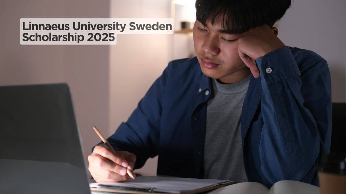 Linnaeus University Sweden Scholarship 2025 - DAAD Scholarships ...