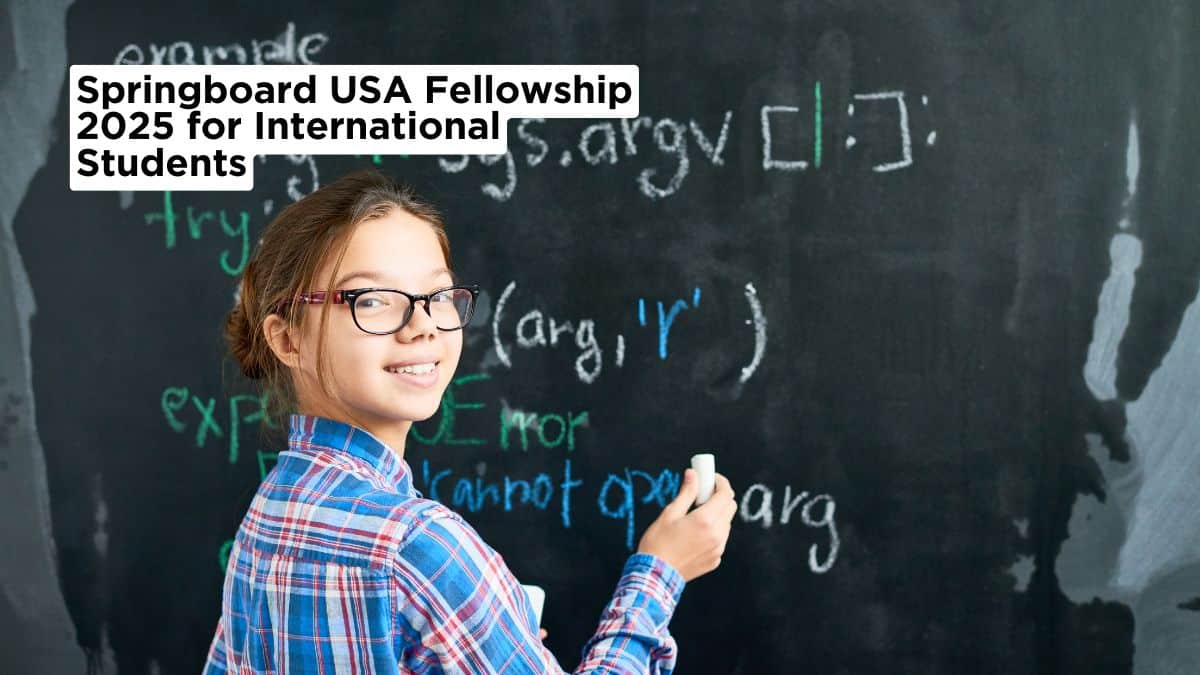 Springboard USA Fellowship 2025 For International Students - DAAD ...